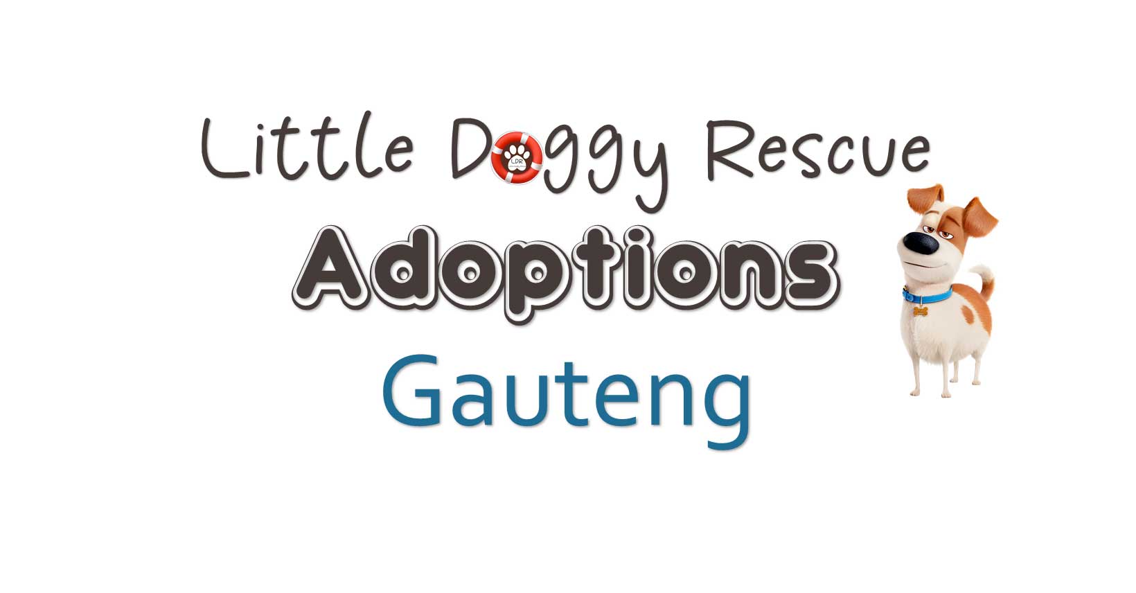 Adopt a Small Dog in Gauteng | Available Dogs | Little Doggy Rescue